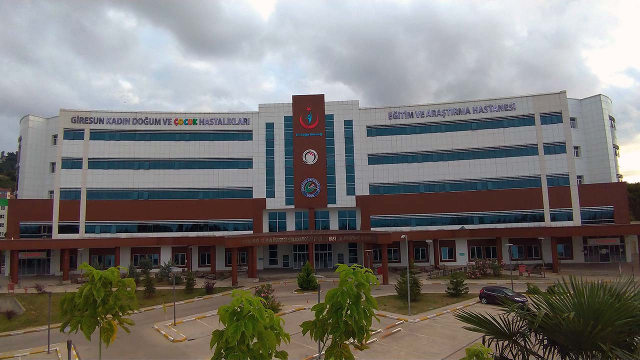 دانشگاه گیرسون ترکیه (Giresun University) | متروپل وزرا